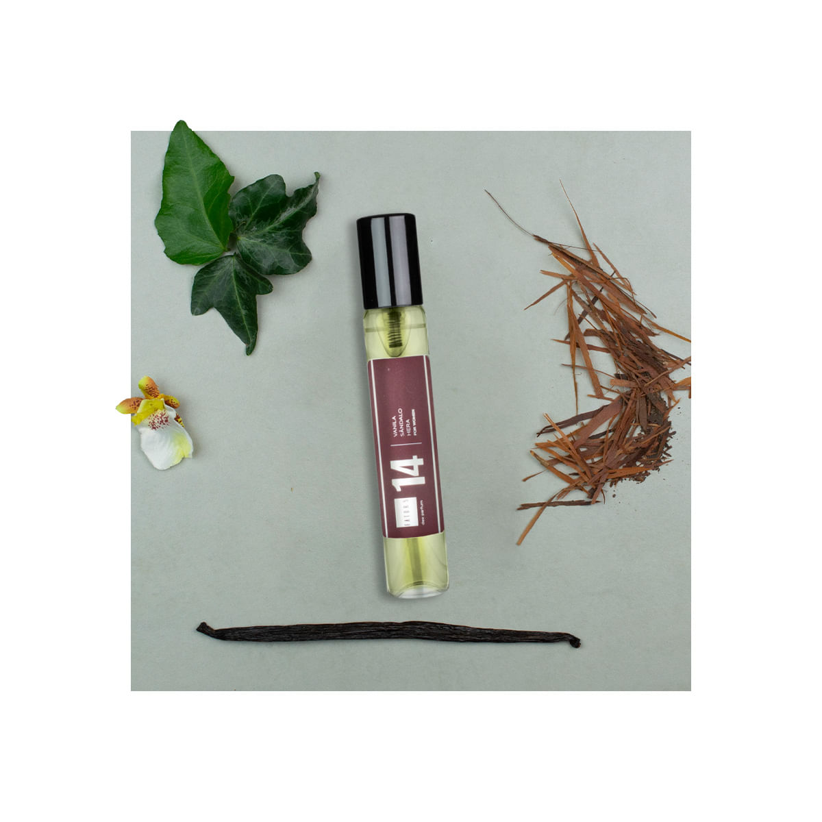 Perfume 14 - com vanila, sandalo e hera- Dolce & Gabbana - Fator 5